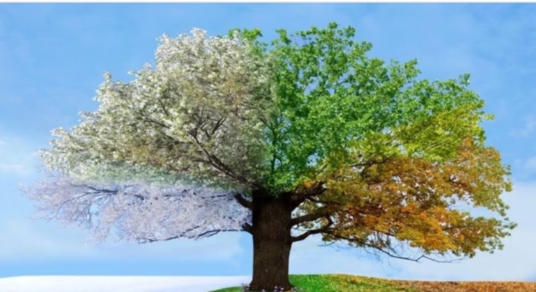 Dipaka [The Four Seasons] - Setswana mo Botswana